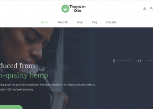 Portfolio - Digital Guider