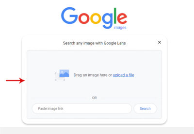 Reverse Video Search – 6 Different Methods To Follow
