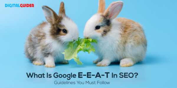 What Is Google E-E-A-T In SEO? Guidelines You Must Follow - DG