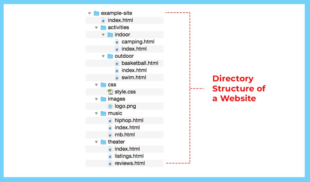 SEO Silo: What is it & How to Create a Silo-Friendly Website?