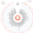 AnswerthePublic: A Powerful Tool to Drive Organic Traffic
